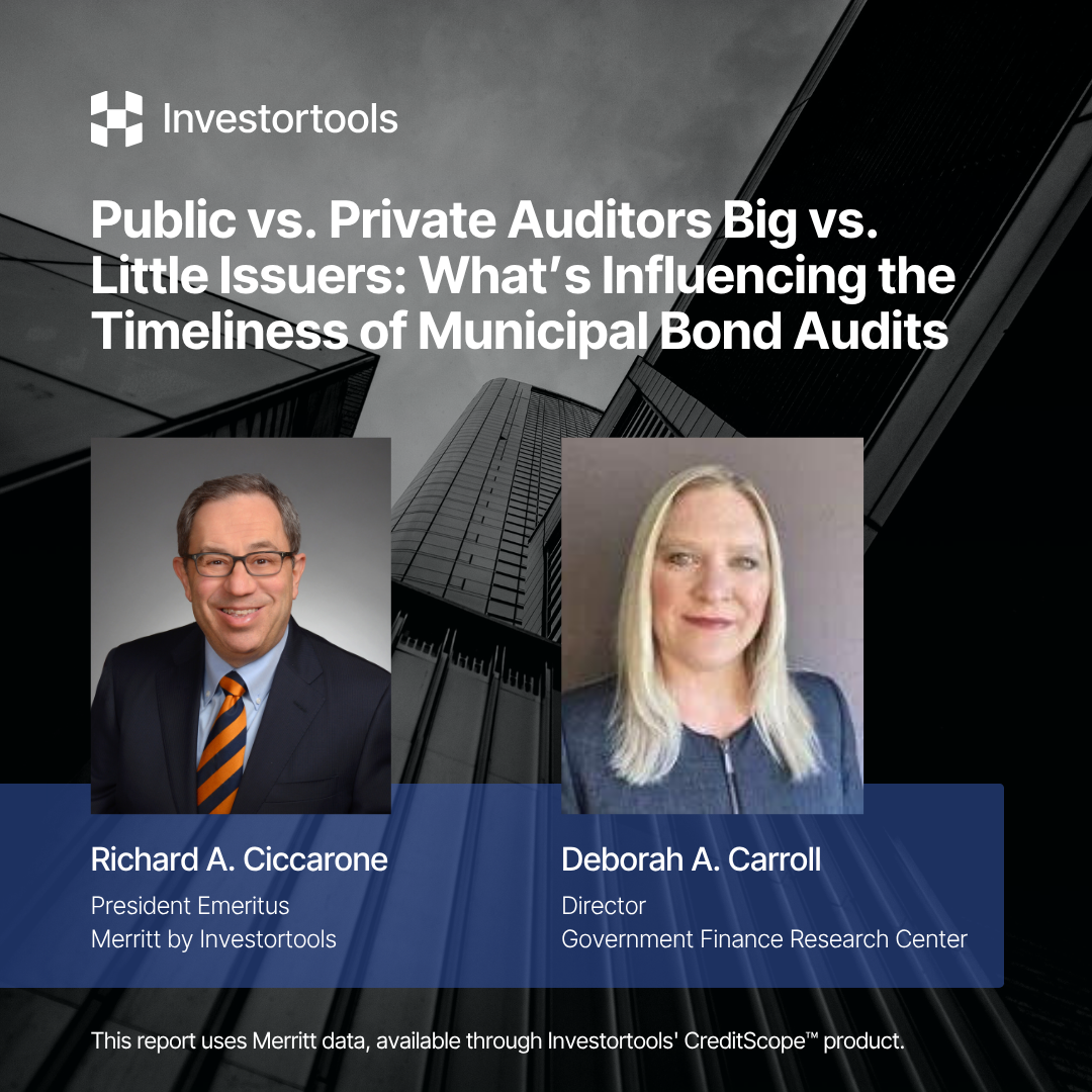 Public vs. Private Auditors Big vs. Little Issuers: What’s Influencing ...